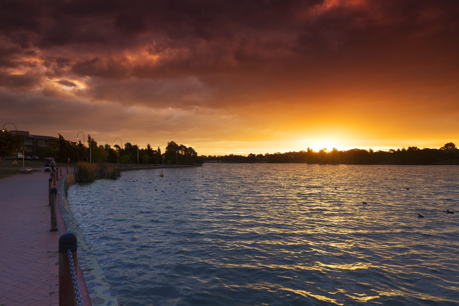 ACT regions with the highest growth in the past year | MARQ